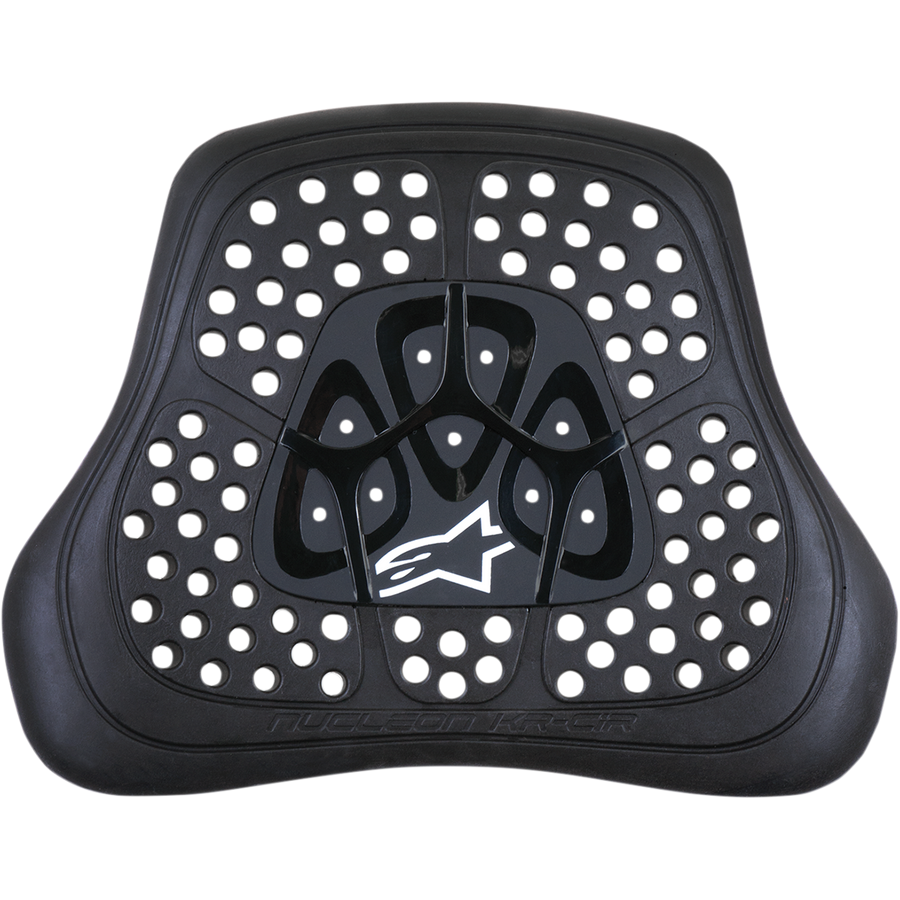 Motorcycle Protection: Body Armor and Protectors | Alpinestars ...